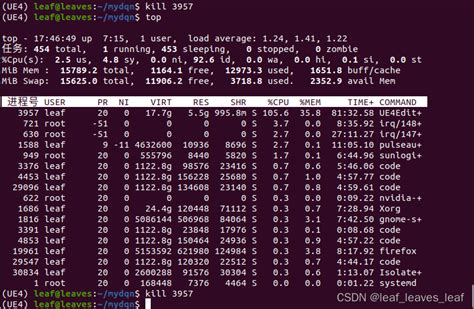 ubuntu 某软件导致卡机如何 kill 掉进程 csdn博客