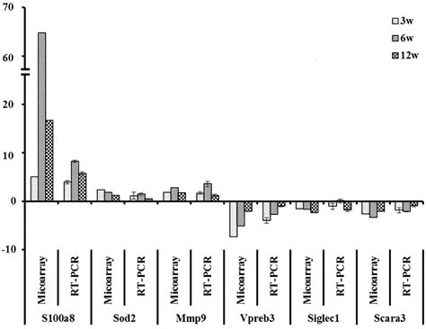 Validation Of Microarray Data By Quantitative Rt Pcr Relative