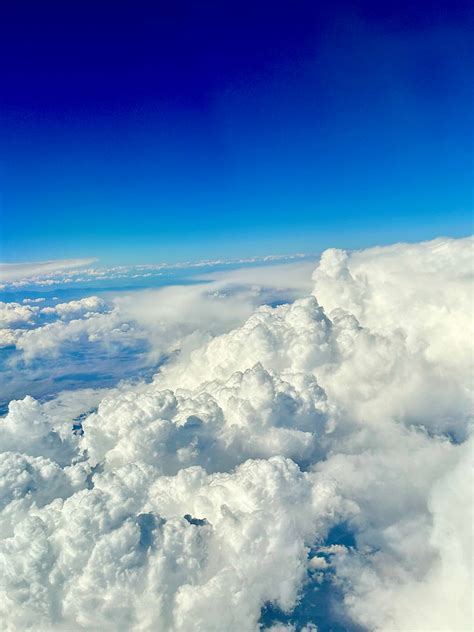 Objectivity What Does It Mean And Why Does It Matter