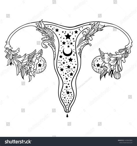 Vagina Flower Stock Vectors Images Vector Art Shutterstock