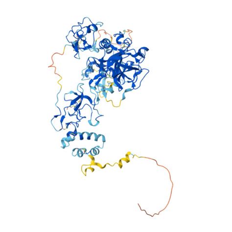 Rcsb Pdb Afafp00734f1 Computed Structure Model Of Prothrombin