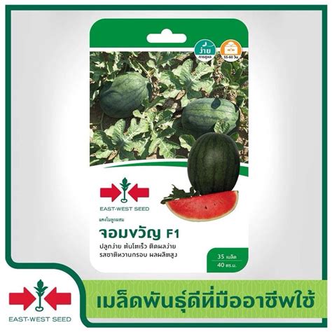 Biji Benih Tembikai Jomwan F1 Tembikai Hibrid F1 East West Seed Cap Panah Merah Shopee