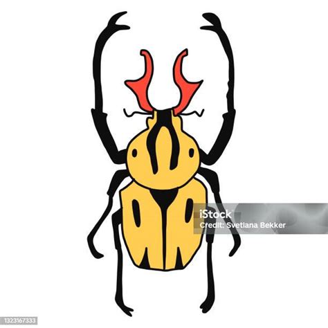 손으로 그린 정원 접지 딱정벌레의 벡터 그림 플랫 디자인 흰색 배경에 고립 된 곤충 그것은 어린이 책 엽서 직물 교육 웹 사이트 또는 애플 리케이션에 적합합니다 갈고리