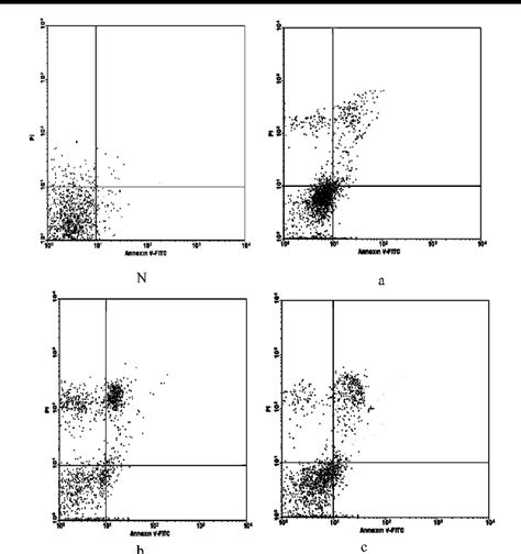 Table 1 From Apoptosis Of Lens Epithelial Cells Induced By Cinobufagin