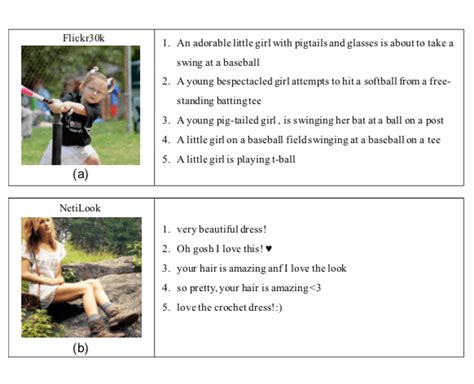 Netizen Style Commenting On Fashion Photos Dataset And Diversity Measures Winston Hsu 徐宏民