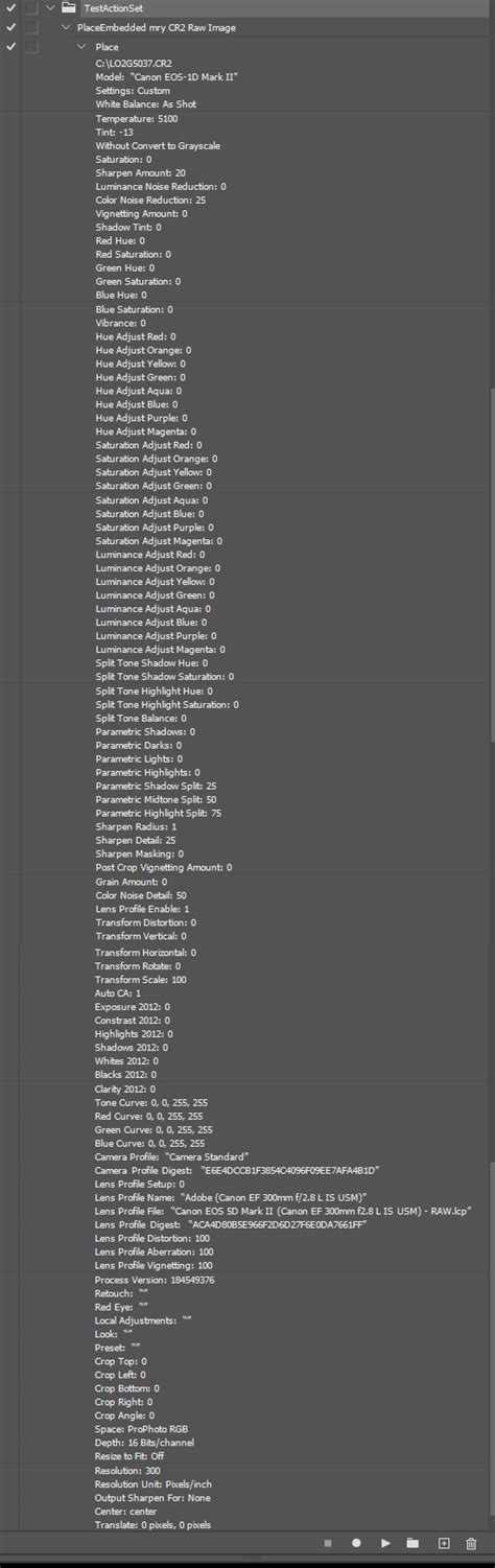 help action placing embedded dng smart object in adobe community