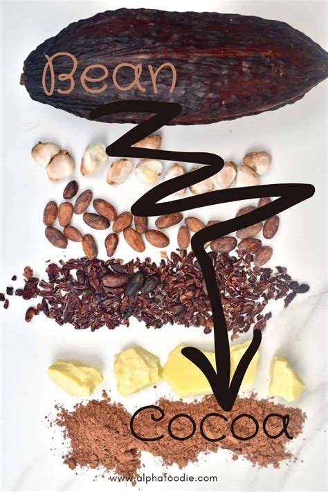 How To Make Chocolate From Cocoa Beans The Full Step Process Done At Home For Delicious Bean