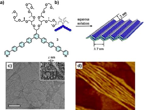 Increasing Dimensionality In Self‐assembly Toward Two‐dimensional Supramolecular Polymers