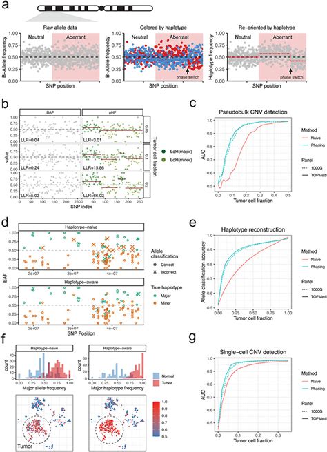 Haplotype Aware Analysis Of Somatic Copy Number Variations From Single Cell Transcriptomes Pmc