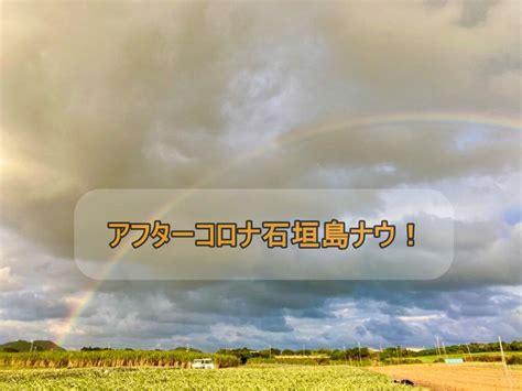 石垣島 コロナ現況とか 23 2 8 ココツク