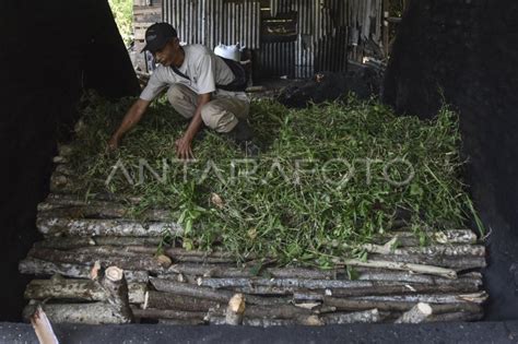 Produksi Arang Kayu Tradisional ANTARA Foto