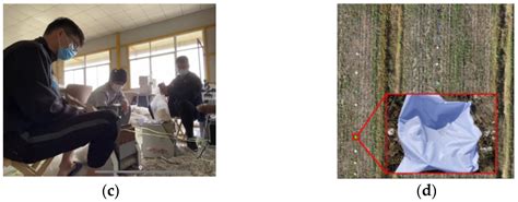 Cotton Fiber Quality Estimation Based On Machine Learning Using Time Series Uav Remote Sensing Data