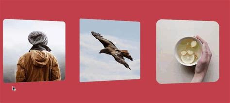 闪亮、透视和旋转：精美的 Css 3d 图像效果 知乎