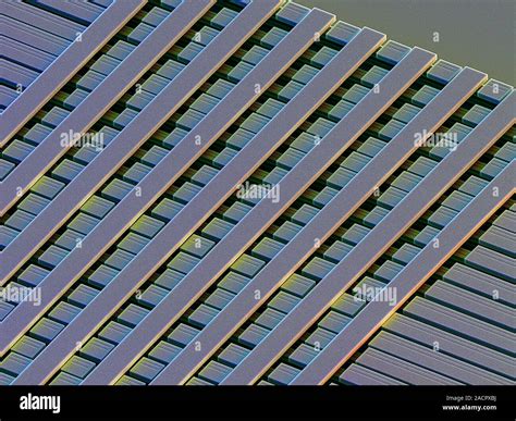 Mems Deployment Device Coloured Scanning Electron Micrograph Of A Close Up Of An Electrostatic