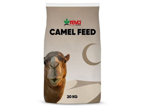 Camel Feed Reva