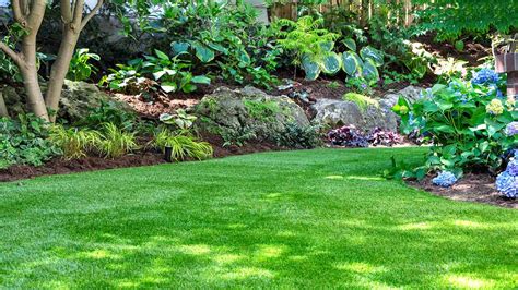 Zoysia Vs Bermuda Grass Which Is The Best Grass Angi