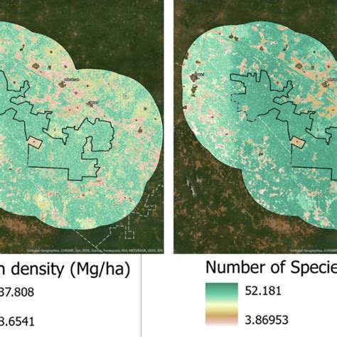 Carbon Density Model And Tree Species Richness Model Generated By