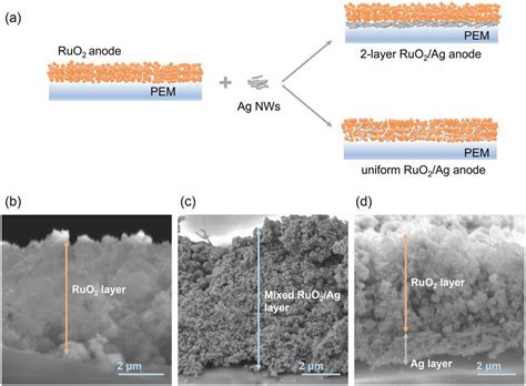 Catalyst Layers Preparation And Characterization A Schematic