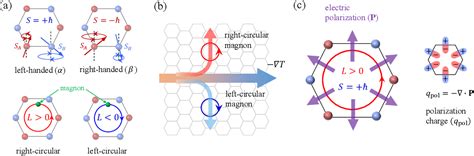 Figure 1 From Intrinsic Magnon Orbital Hall Effect In Honeycomb Antiferromagnets Semantic Scholar