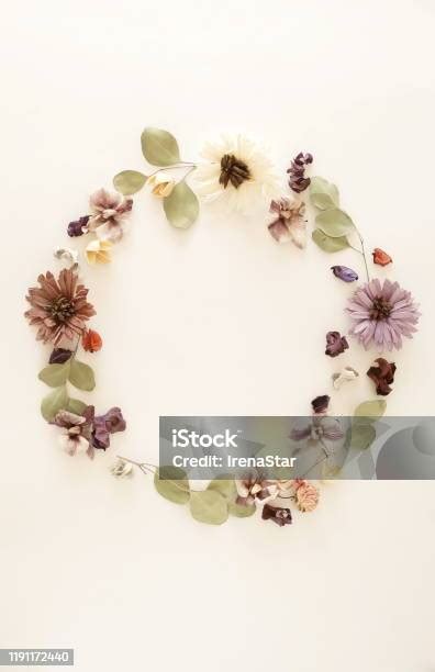 꽃은 배경을 화환 흰색 배경에 말린 꽃과 유칼립투스 잎 패턴에서 조성물 꽃 카드입니다 상단보기 평평한 누워 공간을 복사합니다 최소한의 개념 0명에 대한 스톡 사진 및 기타