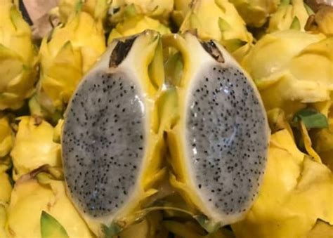 What Does Yellow Dragon Fruit Taste Like Does It Taste Good Americas Restaurant
