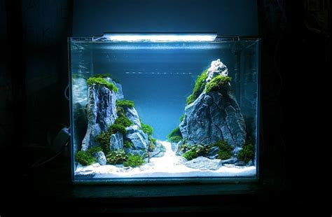 Aquascape Design Iwagumi Aquascape Ideas