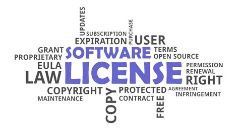 Software License Dominant System Integrator