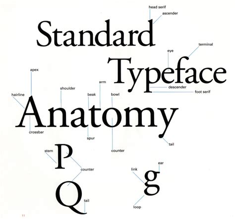 Myma Research Typography Basics