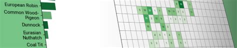 Automated Bird Detection With A Raspberry Pi Getting Started Stickyhat