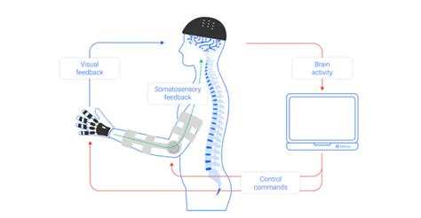 Deep Learning Based Reach And Grasp Eeg Decoder Maria Monzon