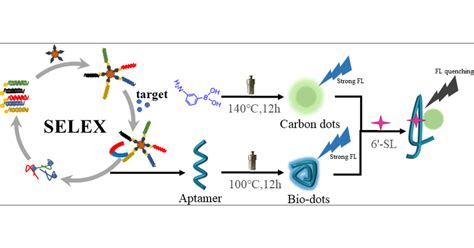 Screening Of A Sialyllactose Specific Aptamer And Engineering A Pair Of Recognition Elements
