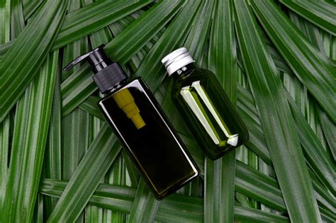 화장품 병 용기 녹색 허브 잎 브랜딩 모형 자연 유기 미용 제품 개념에 대 한 빈 레이블 패키지 개념에 대한 스톡 사진 및 기타 이미지 Istock