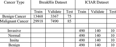 Cancer Type Wise Dataset After Data Augmentation Download Scientific