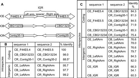 An Example Of Divergently Oriented Inverted Repeat A Schematic