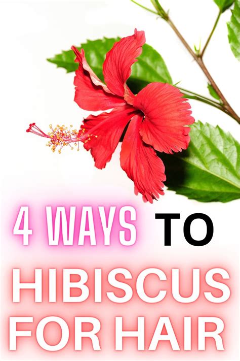 Best Ways To Hibiscus For Hair Benefits Of Hibiscus Herbs For Hair