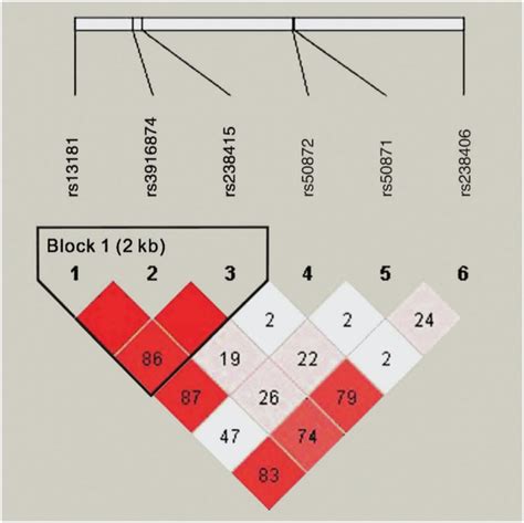 Contribution Of Dna Repair Xeroderma Pigmentosum Group D Genotypes To