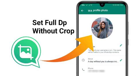 Cum Schimbi Poza De Profil Whatsapp Android și Iphone