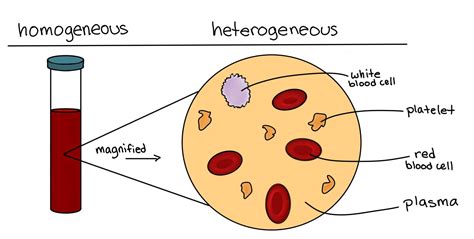 Homogeneous Vs Heterogeneous Mixtures A Comparison Expii