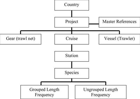 Schematic Representation Of The Main Tables In FiRST Version 2004 And Download Scientific