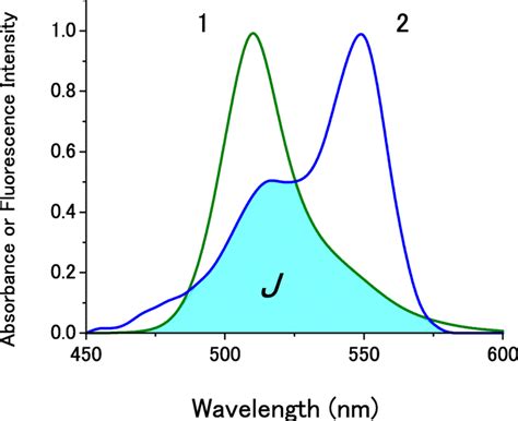 The Spectral Overlap J Between The Fluorescence Spectrum Of Gfp And Download Scientific