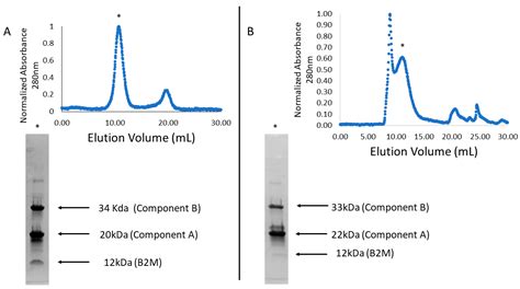 Design Of Beta 2 Microglobulin Adsorbent Protein Nanoparticles