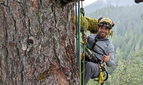 Tree Removal Permits Greater Portland Metro Area