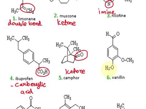 Solved Circle And Label All Functional Groups Seen In The Structure Och3 Ch3 Ho Ch3 R H Ch3