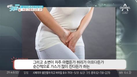 자궁근종이 있다는 증상 인스티즈 Instiz 이슈 카테고리