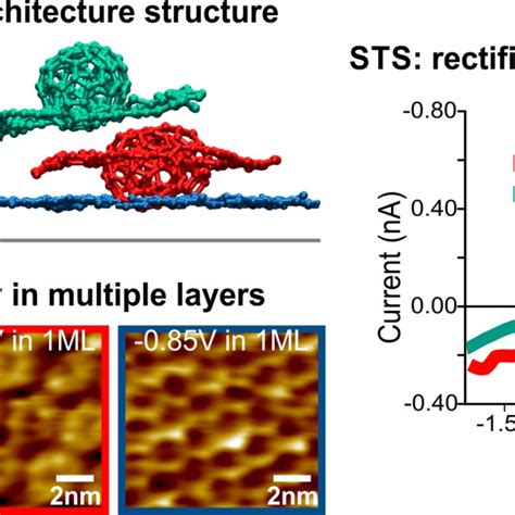 A Three Component 3d Functional Supramolecular Structure Is Formed Download Scientific Diagram