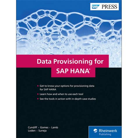 Data Provisioning For Sap Hana Pricepulse