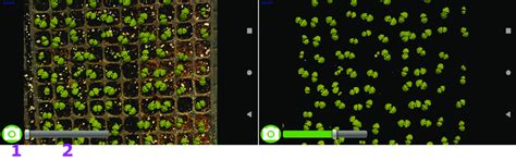 image preview for real time processing 1 camera button 2 threshold
