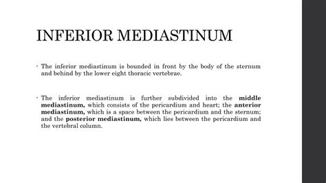 Anatomy And Radiology Of The Mediastinumpptx