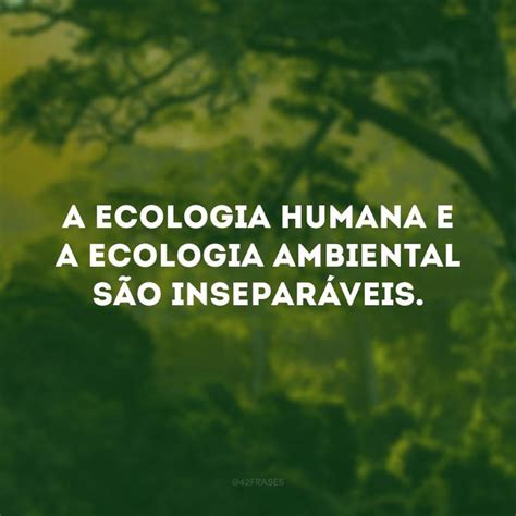30 Frases Sobre Meio Ambiente Para Cuidar Melhor Do Nosso Planeta