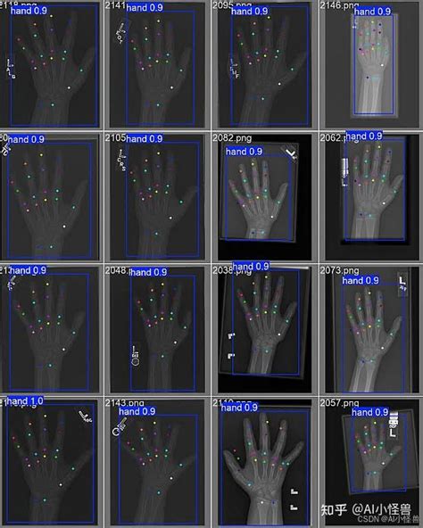 Yolov13 Pose关键点检测：训练实战手把手教程篇 自己数据集从labelme标注到生成yolo格式的关键点数据以及训练教程 知乎